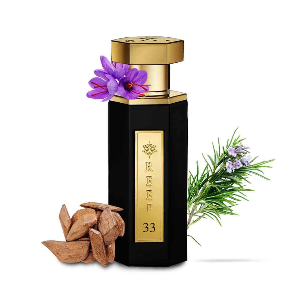 Reef Perfumes REEF 33